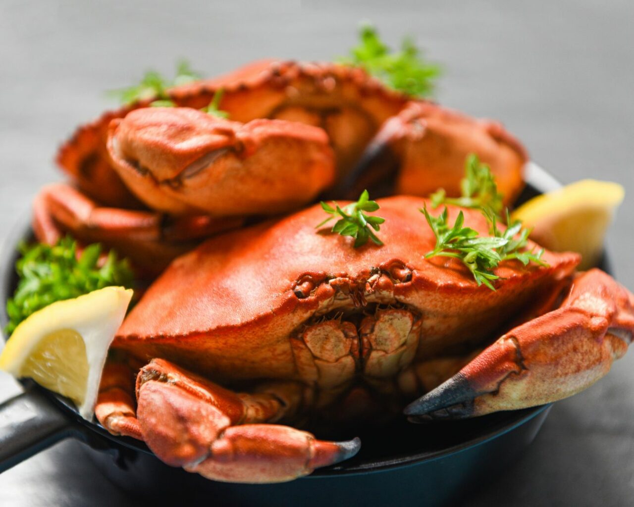 Aprende a preparar arroz de pescado de roca | Arroz SOS