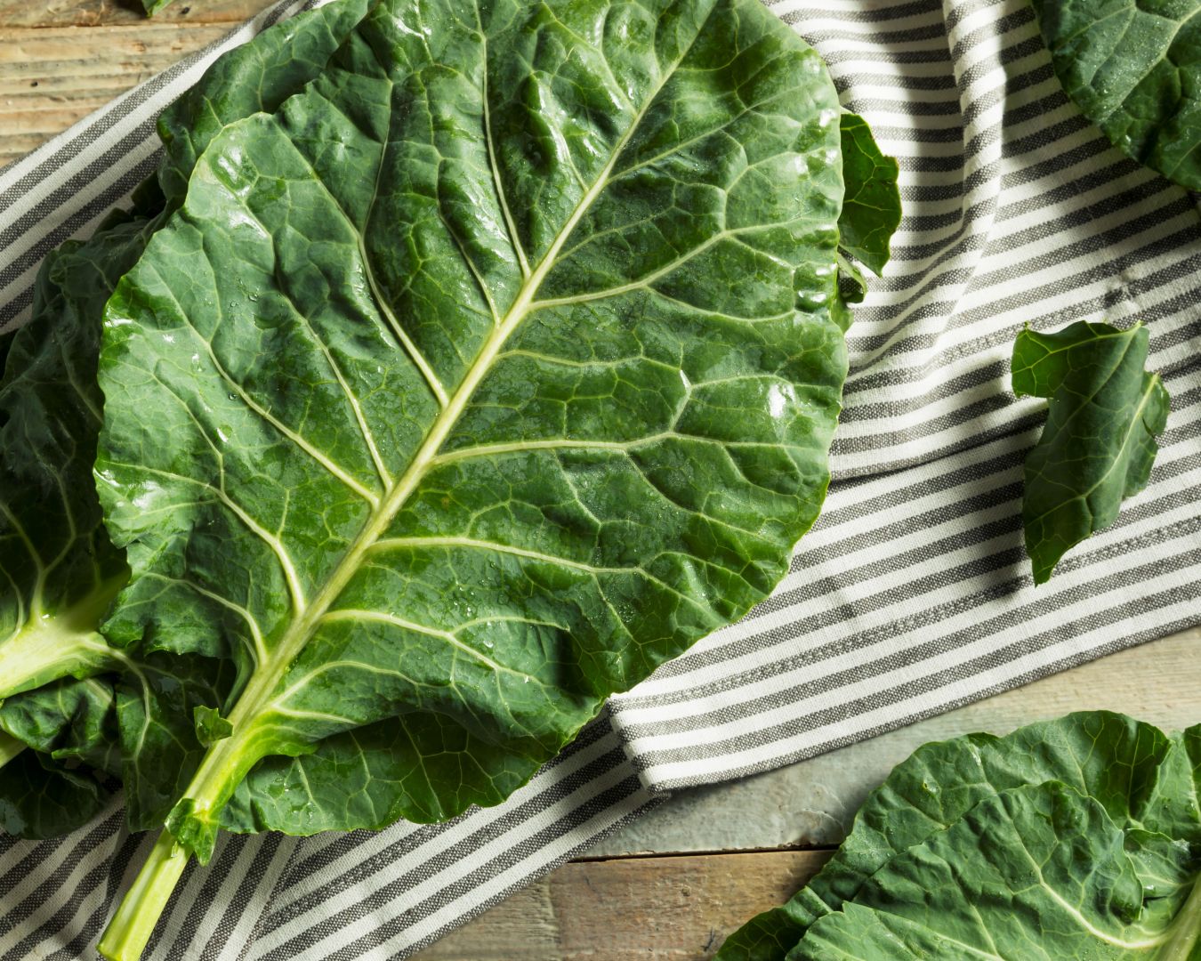 Video receta de col rellena de arroz integral y gambas | Arroz SOS