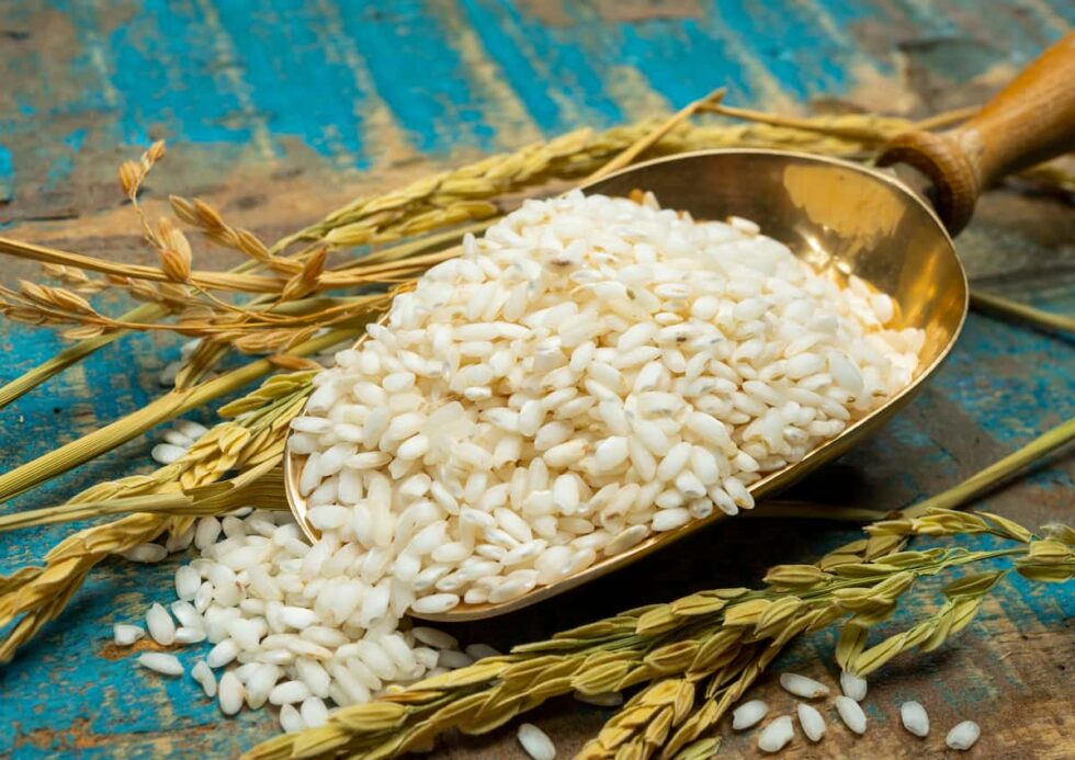 ¿qué Arroz Se Usa Para La Paella Todos Los Tipos Arroz Sos