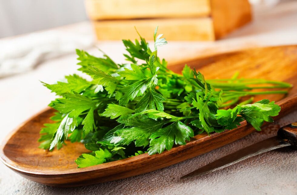 Descubre las Propiedades del Perejil: Beneficios y Usos | Arroz SOS