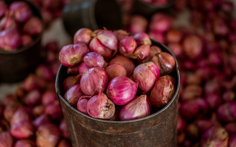 Chalota Que Es: Descubre Sus Propiedades | ArrozSOS